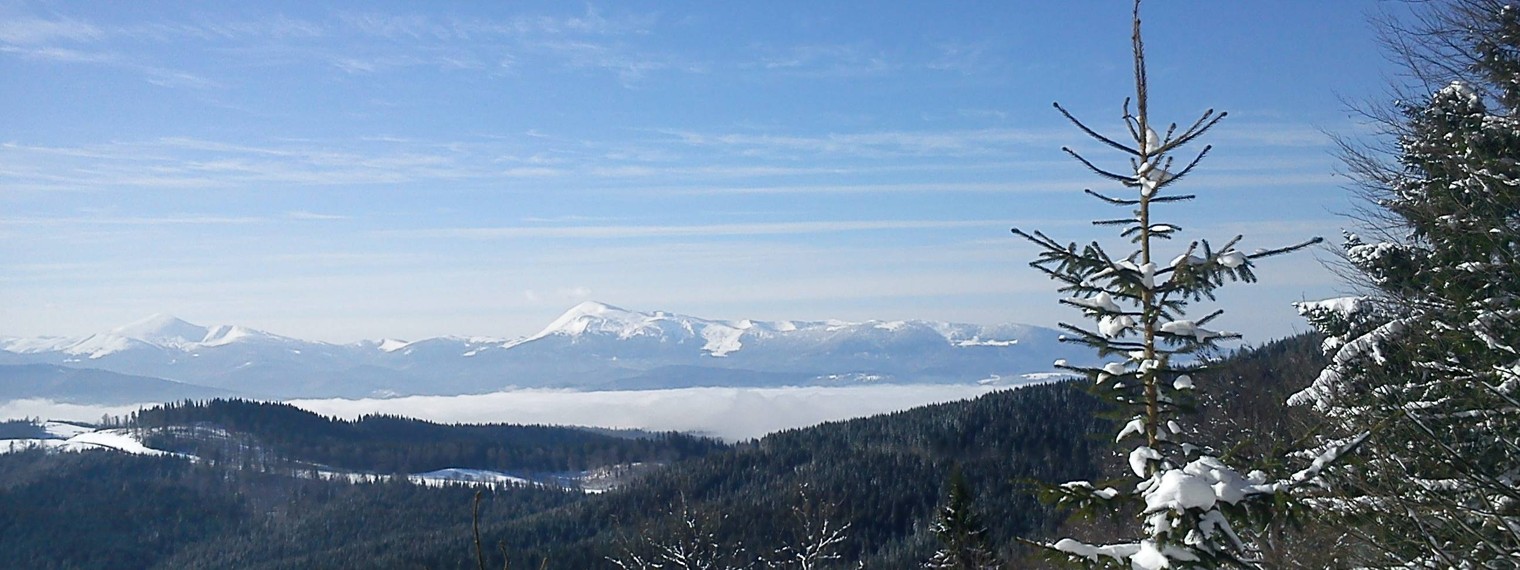 Сергей ТСП