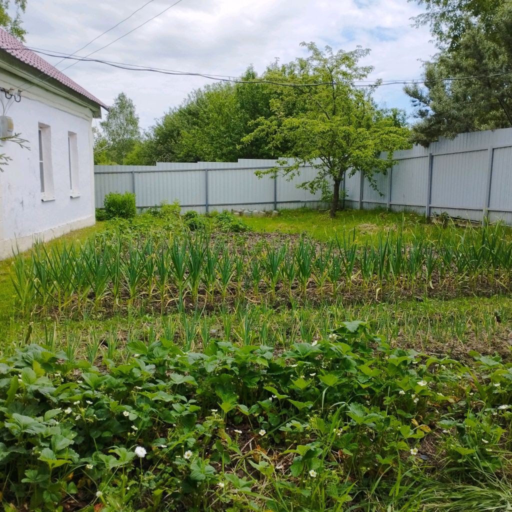 channel37473065. Валентина Вижонская..