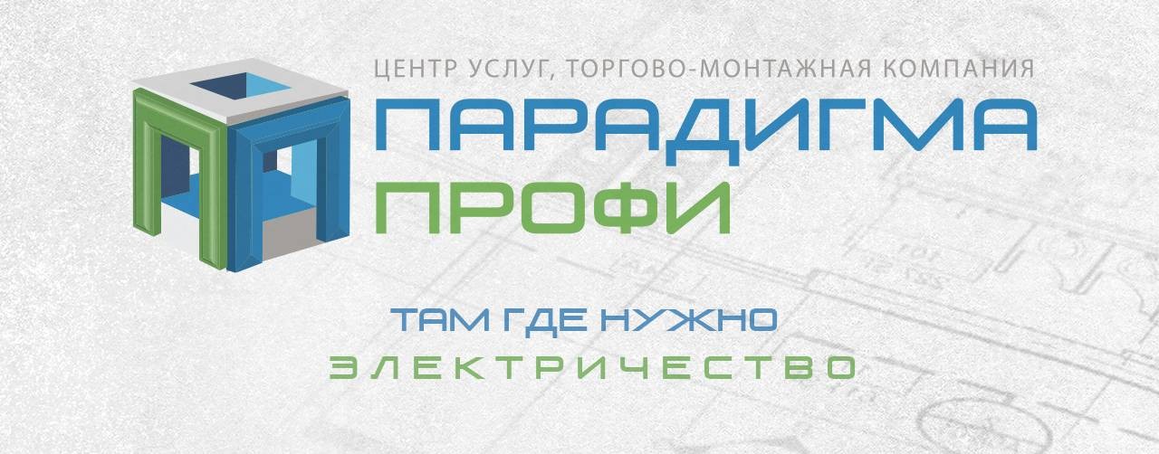 Парадигма Профи