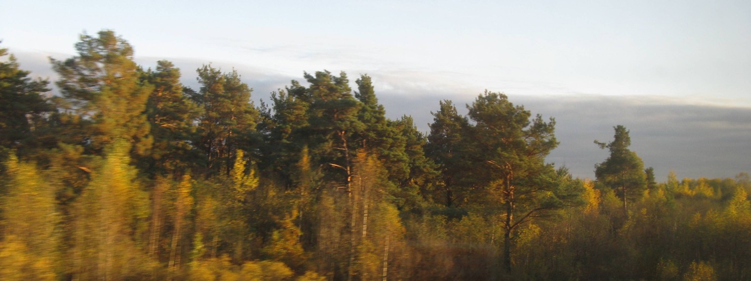 Александр - Котофеич