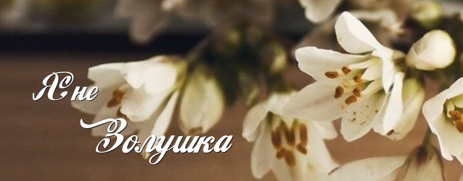 Я не Золушка