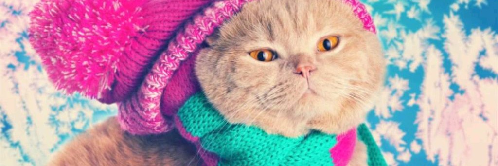 Вяжем с Жанной