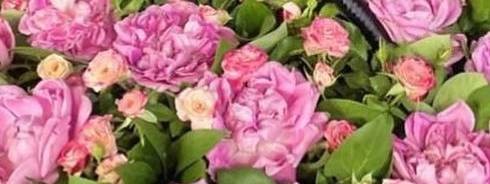 СЕКРЕТ КРАСОТА