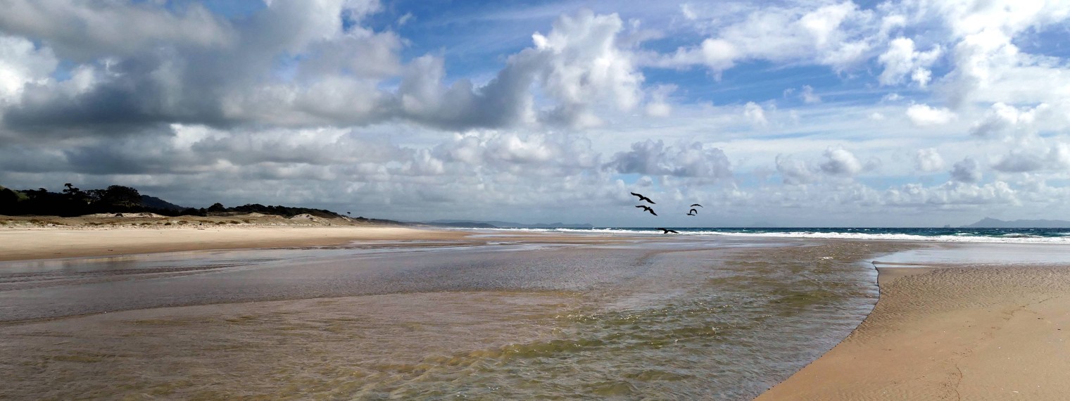 Симфония Души|Психолог Наталия Положий