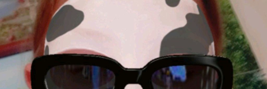 Sonic суворик