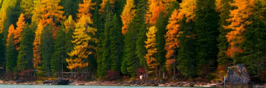 кот Жорик 🐱🐱🐱