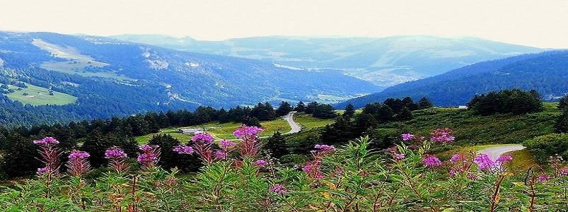 Истории и тайны