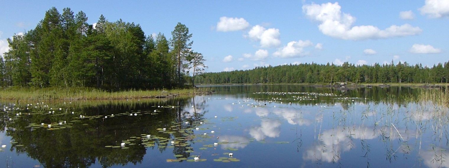 Александр Яковлевич
