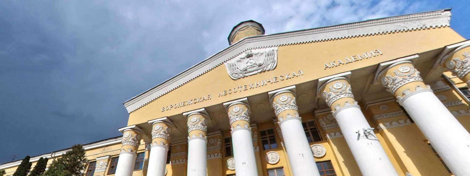 Центр дистанционного образования ВГЛТУ