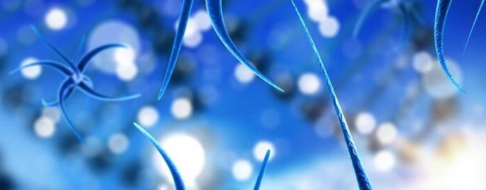 Доктор Наумова