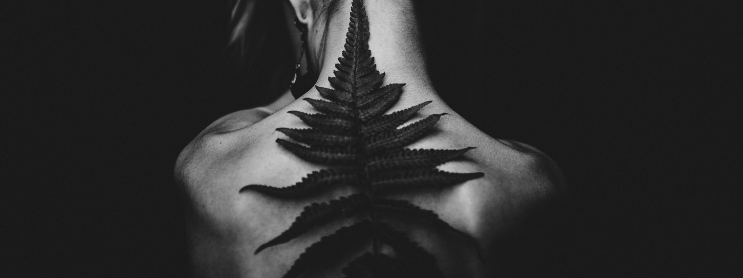 Никифорова Светлана