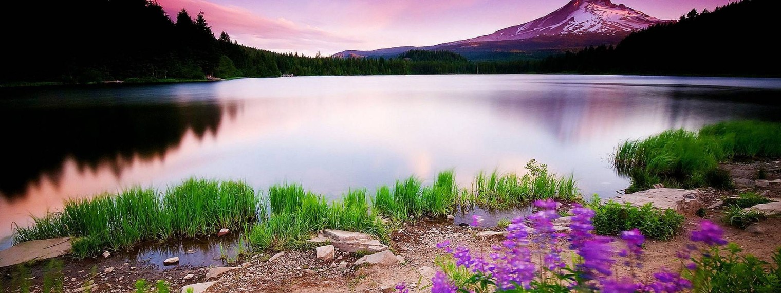 Александр Гончаров