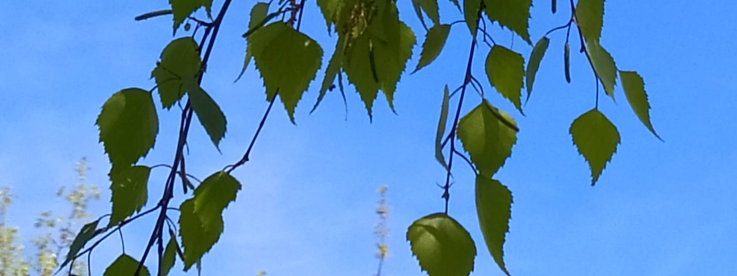 Народный календарь