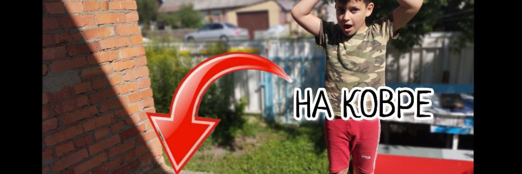 ОБЫКНОВЕННЫЕ СЕЛЮКИ