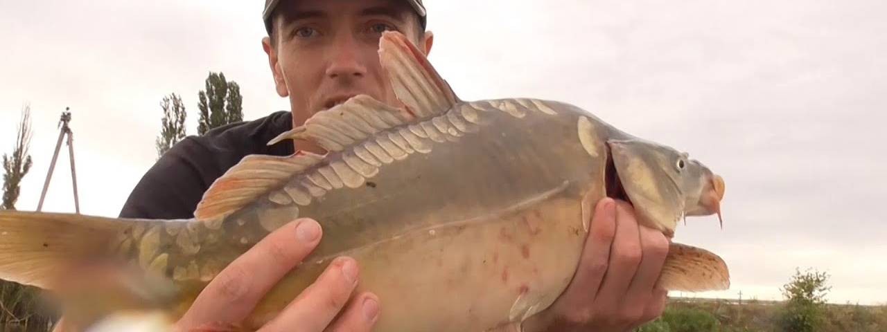 Рыбалка на поплавок