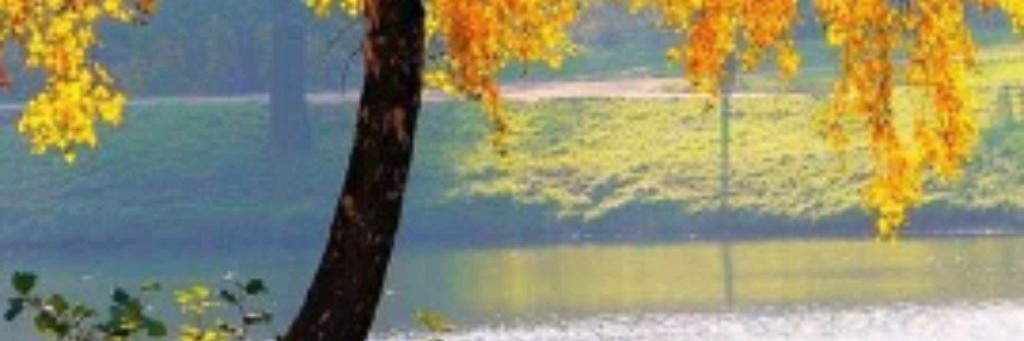 Ковалев С.Е.