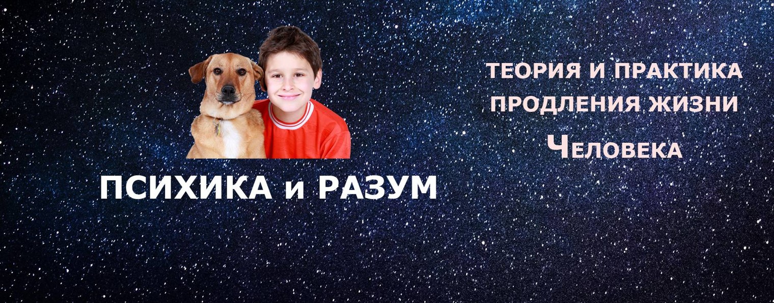 Ценность собственной жизни -преодоление её страха