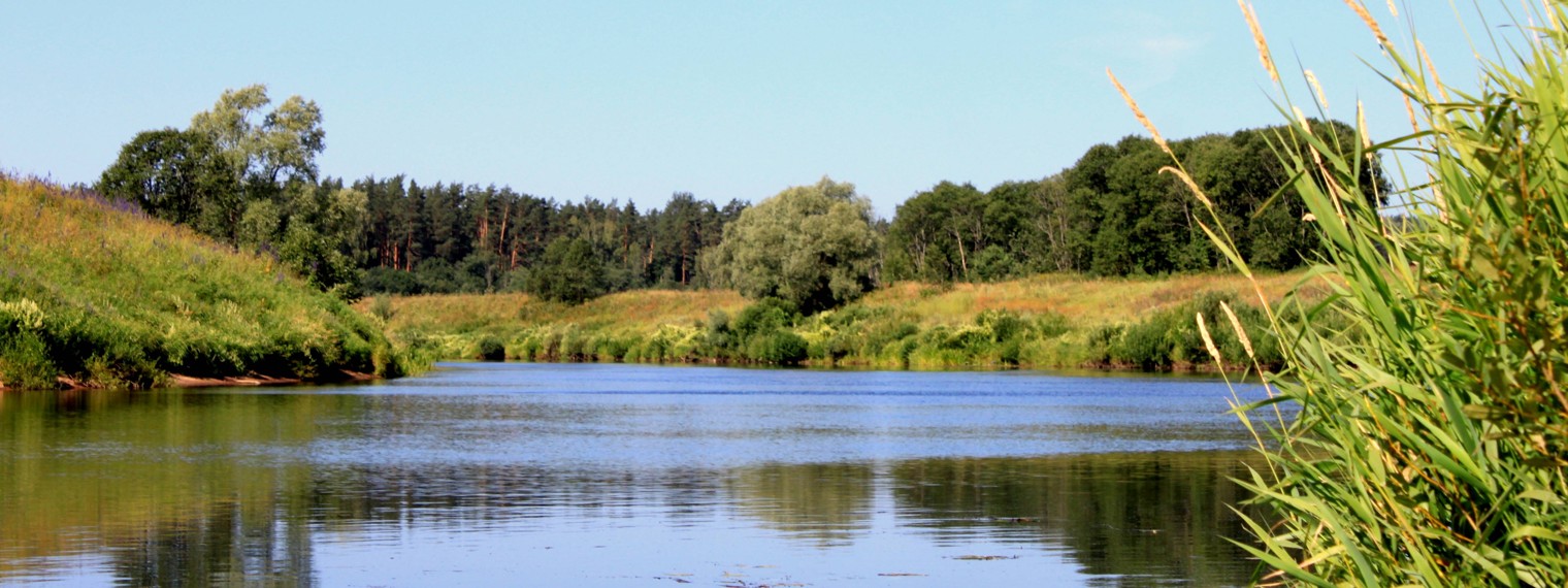 Темкинская центральная библиотека