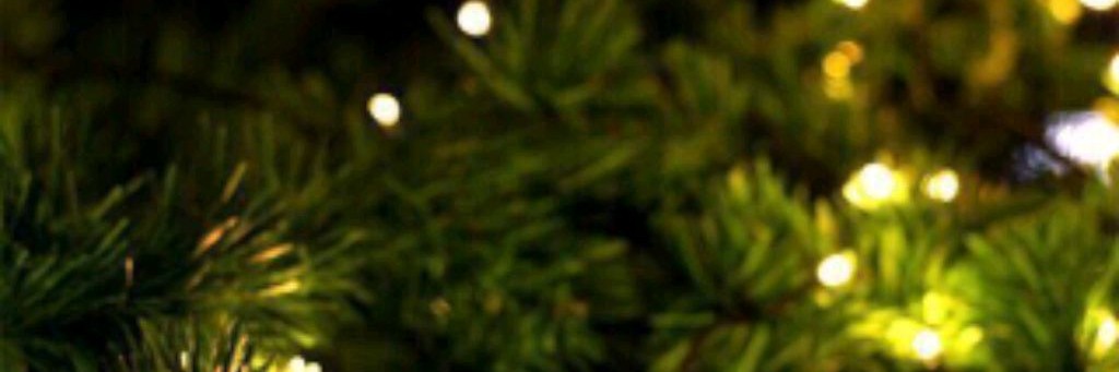 Туризм для всех. Путешествовать-значит жить!