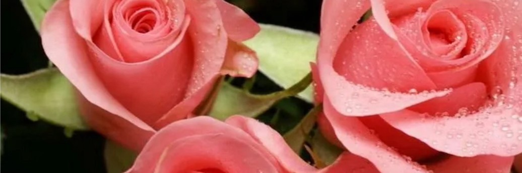 Женская одежда  Барыня