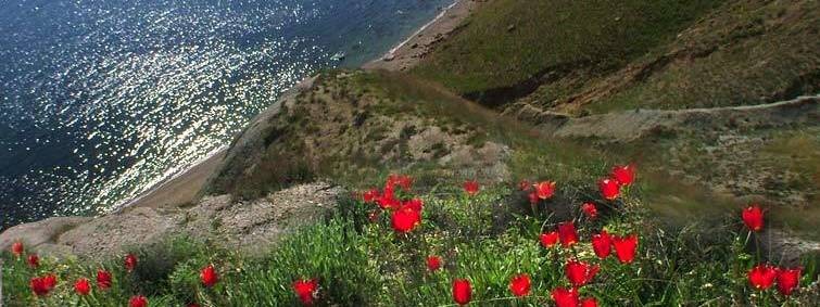 Александр Дорожко