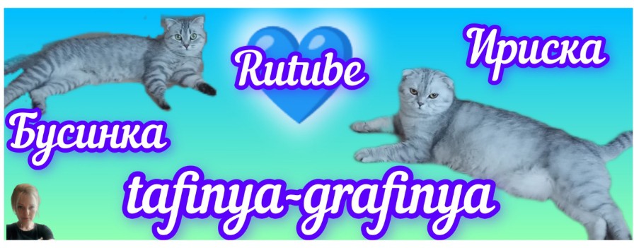 😻 Тафиня-Графиня 😻