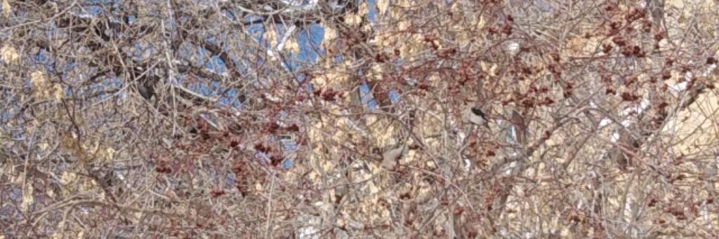 Жизнь в Эмоциях