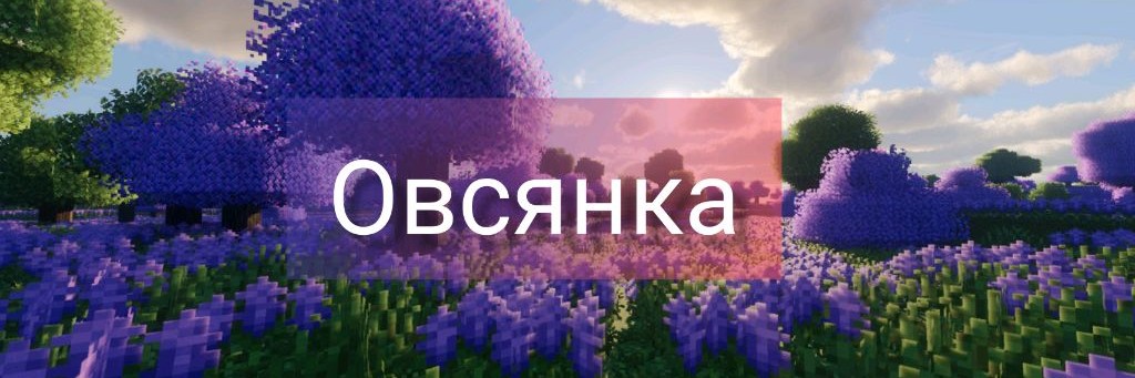 Овсянка
