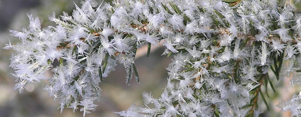 Сергей Солодовченко