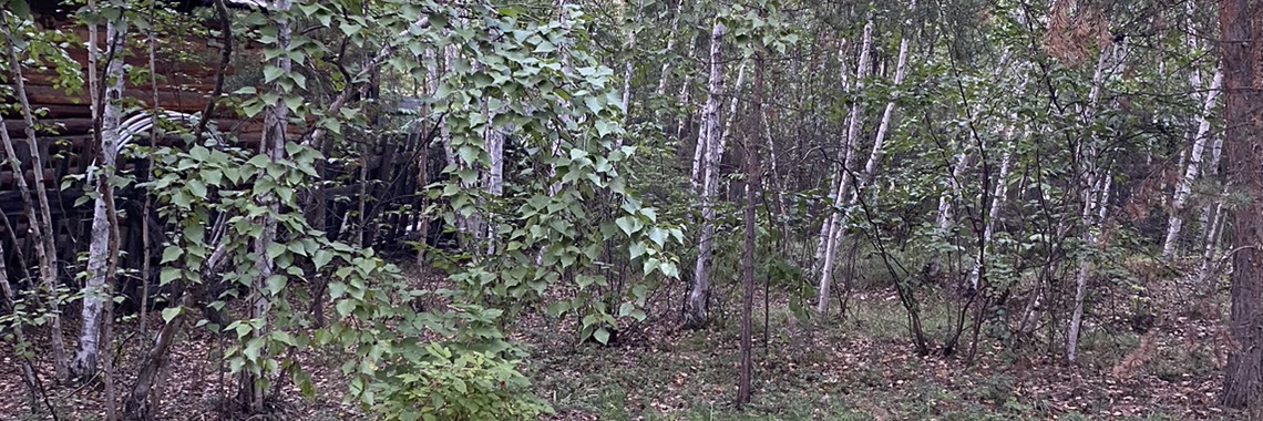 Геннадий Куникеев