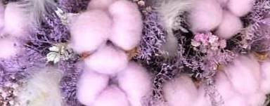 Tatyana EkomarketEko