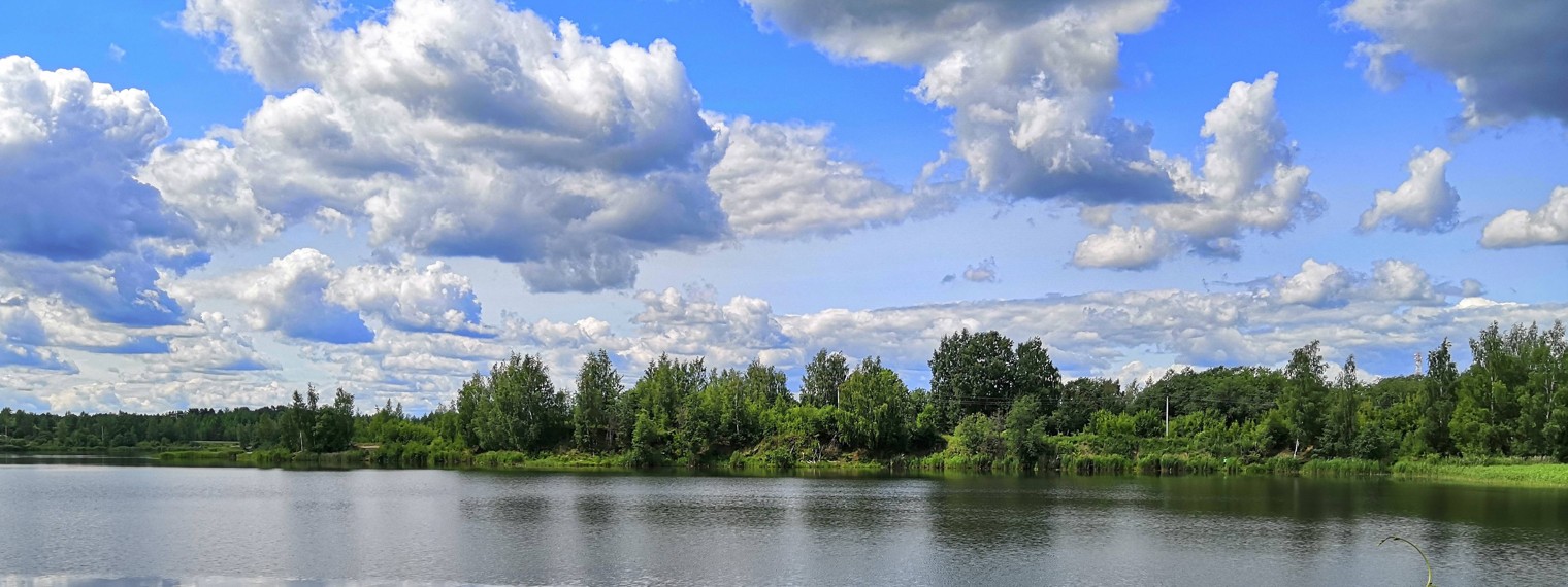 "Ваши 6 соток" с Андреем Тумановым