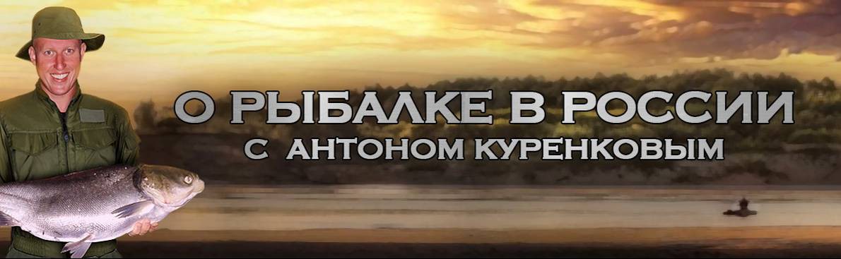 Антон Куренков