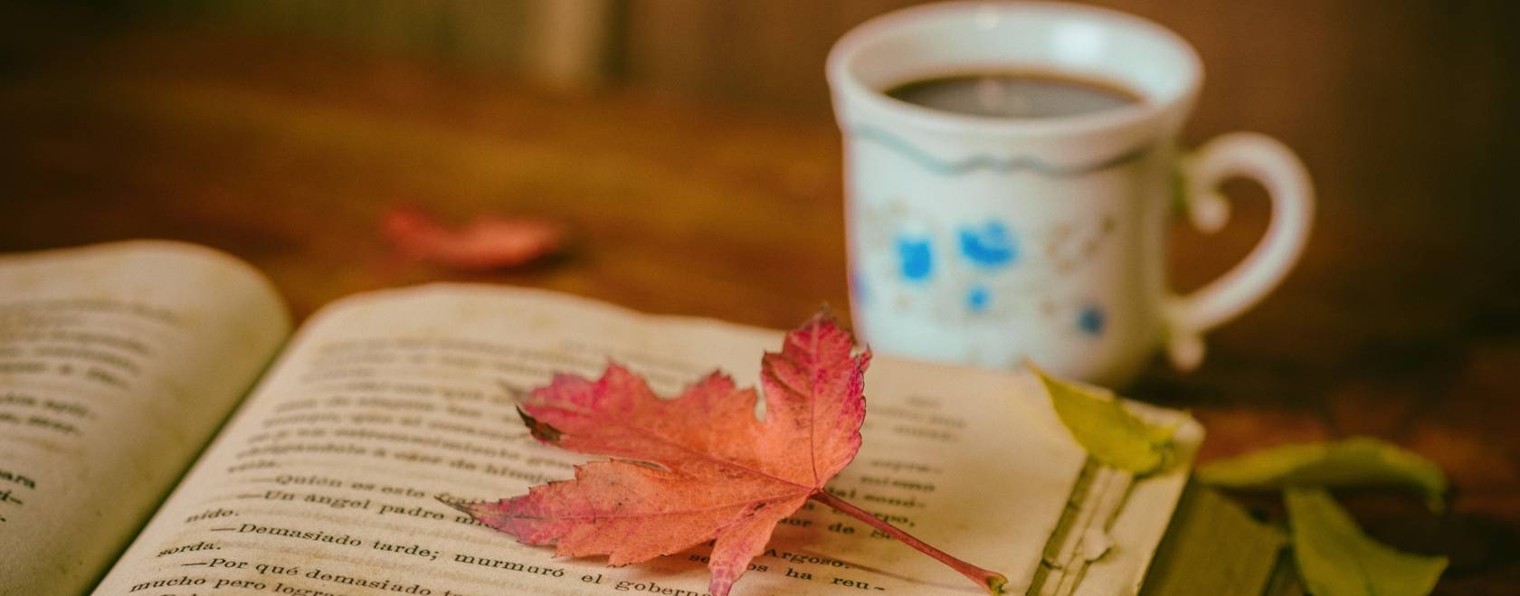 МОМЕНТЫ ИЗ ЖИЗНИ *******