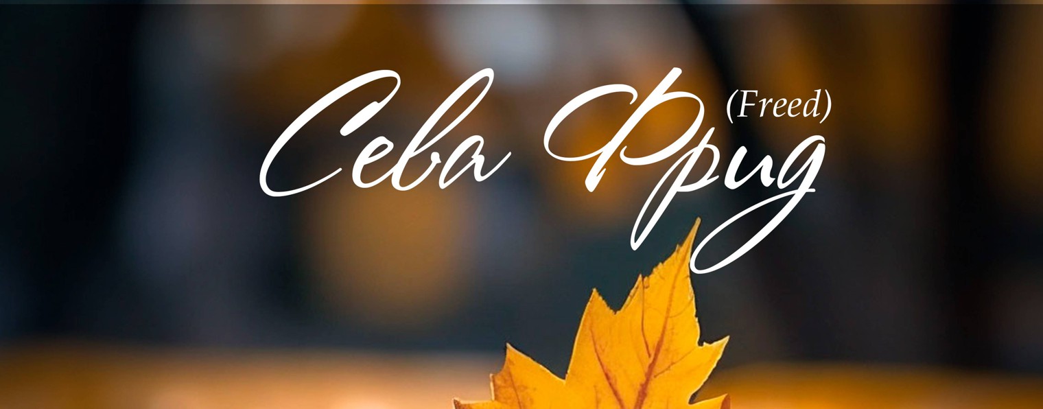 Сева Фрид, поэт и автор-исполнитель.