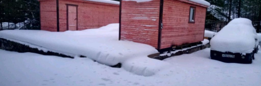 Котопёс