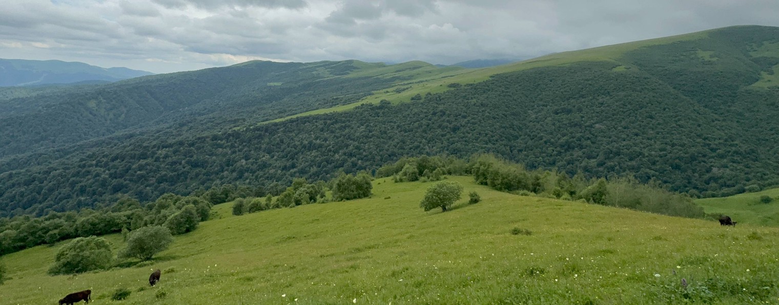Про Дагестан