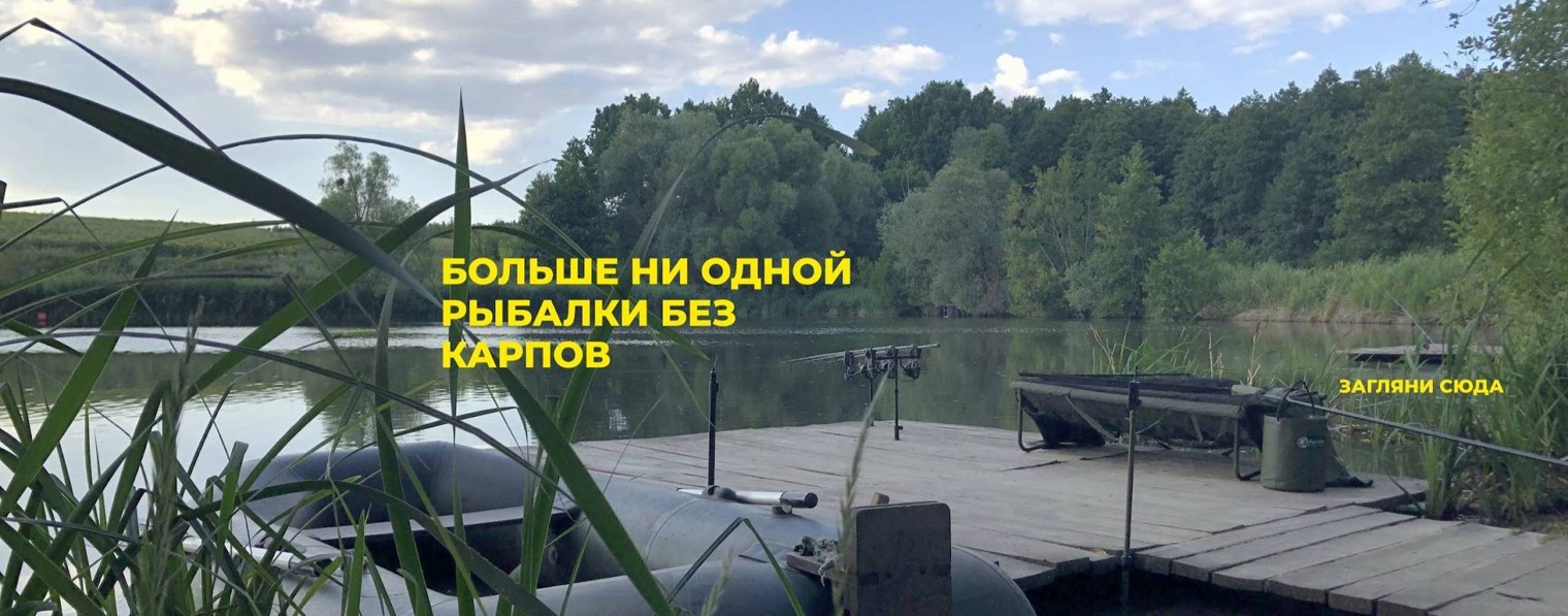 Одержимый Карпом / Александр Харланов