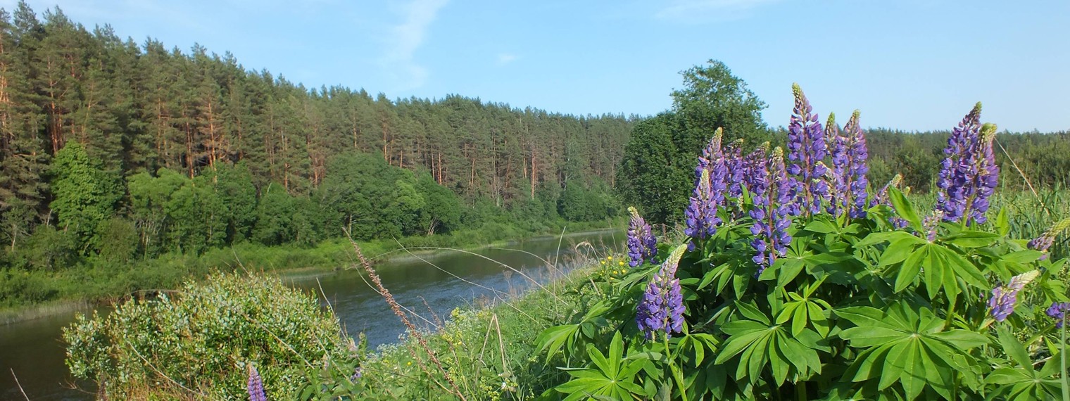 Вяземский Путешественник