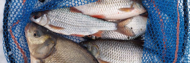 Мишаня о рыбалке и не только