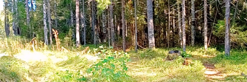 Просто канал?