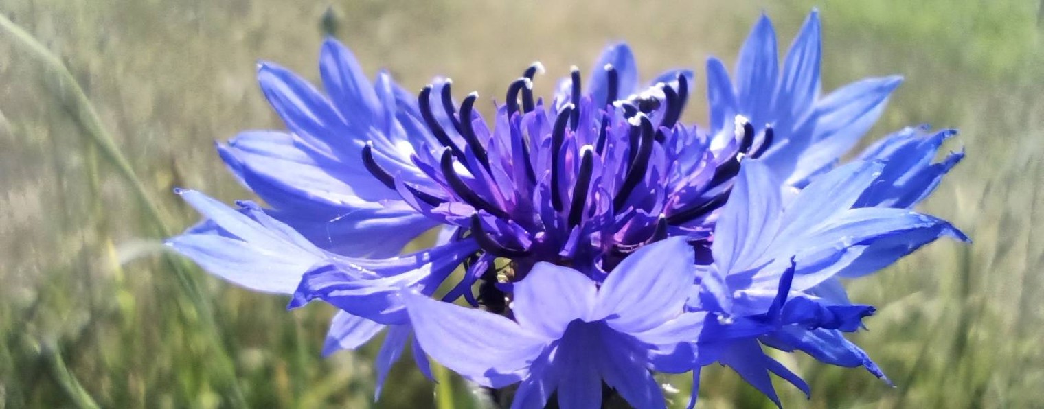 НОВОСТИ БЕЗ ВОДЫ