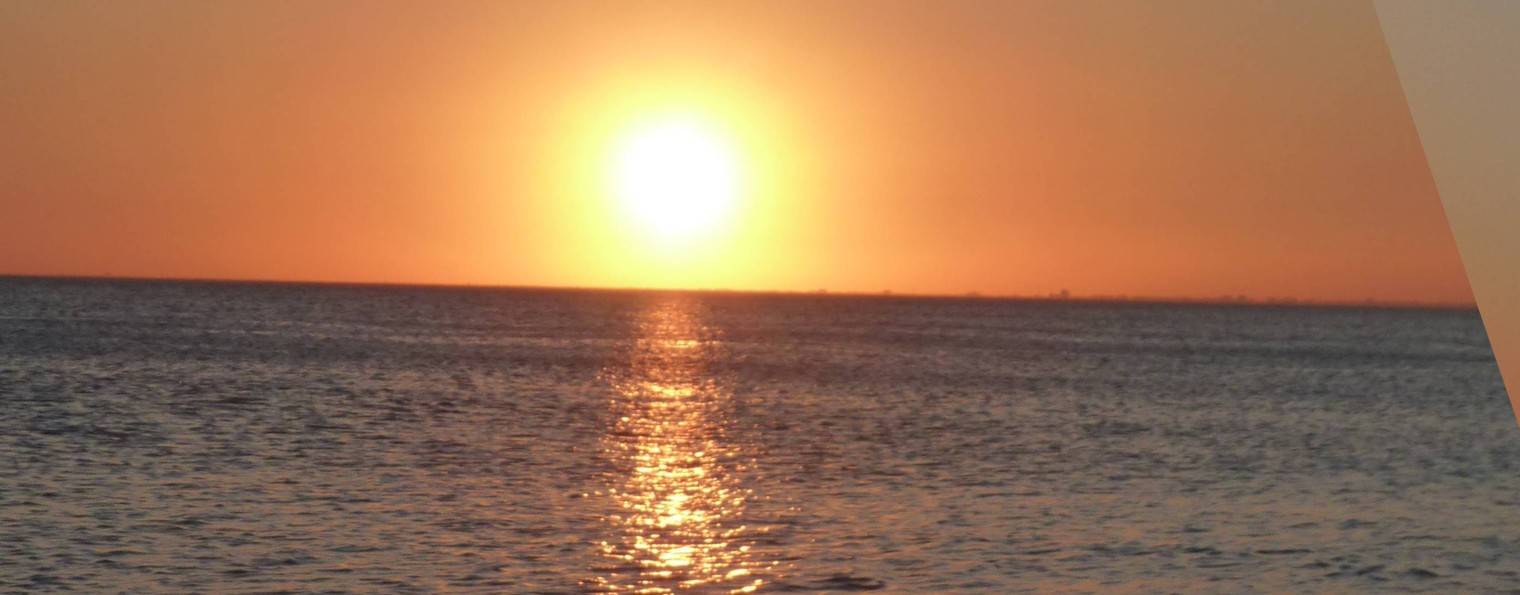 Видео архив - Custos scientia