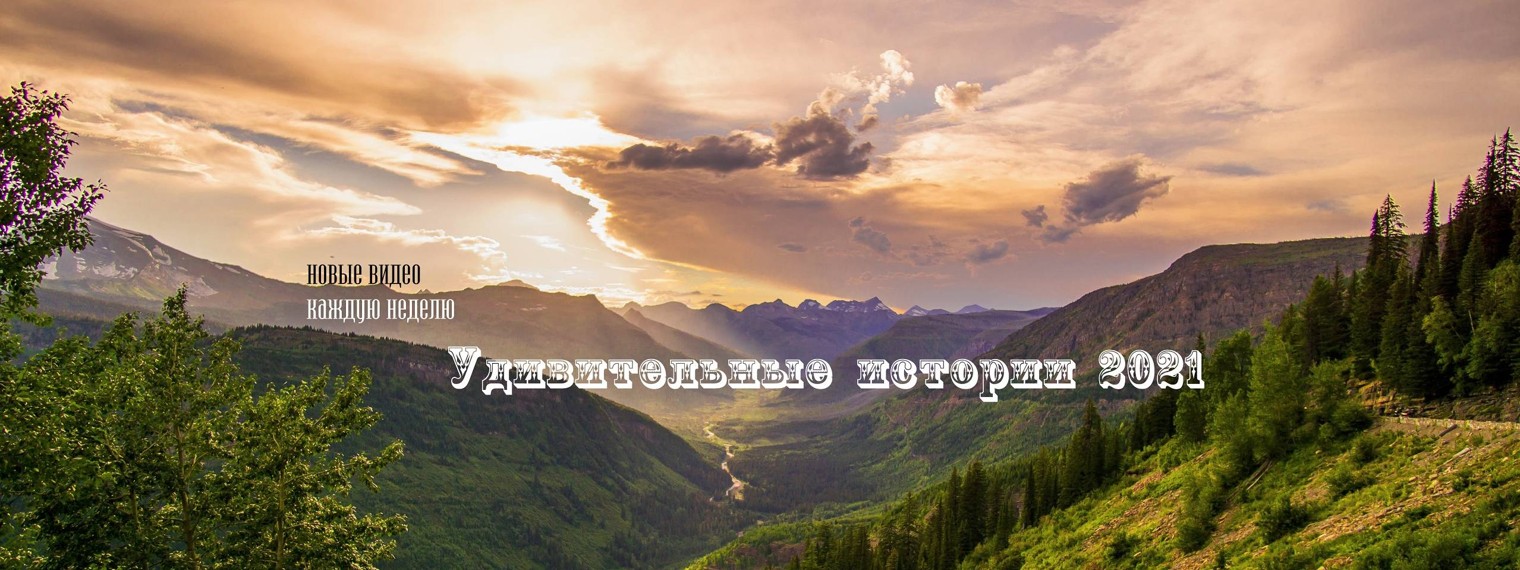 УДИВИТЕЛЬНЫЕ ИСТОРИИ  2021