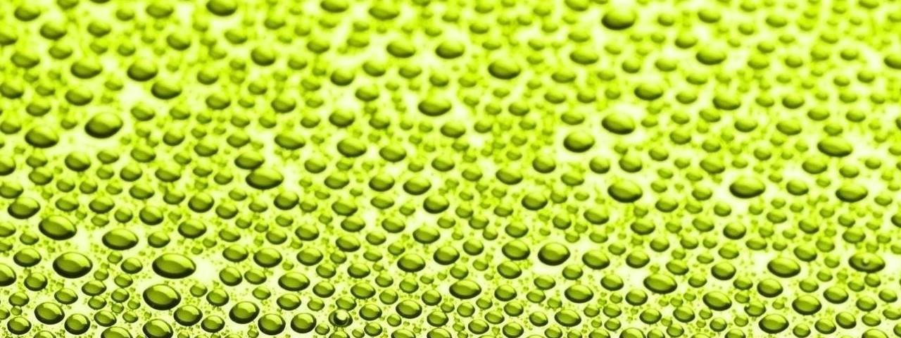 Виртуальная реальность