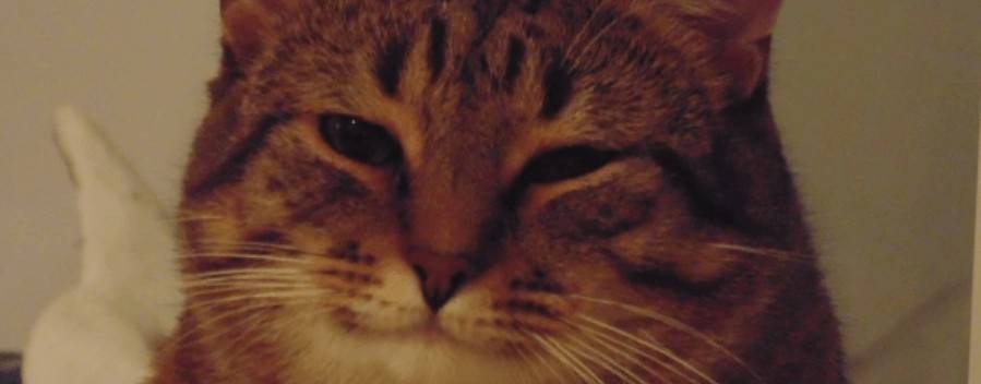 Перезаливы  АСМР с ютюба