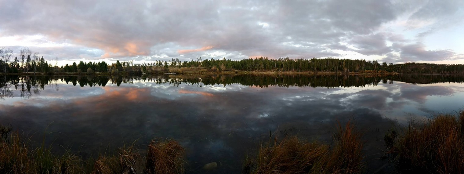 Ильин Андрей Николаевич - педагог IT-куб ФМЛ 366