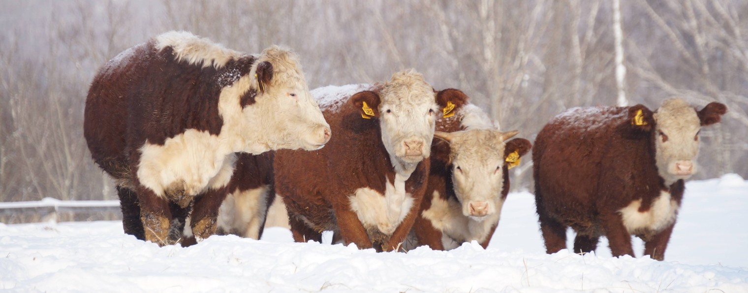 Минсельхоз Новосибирской области