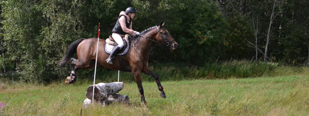 Конный спорт