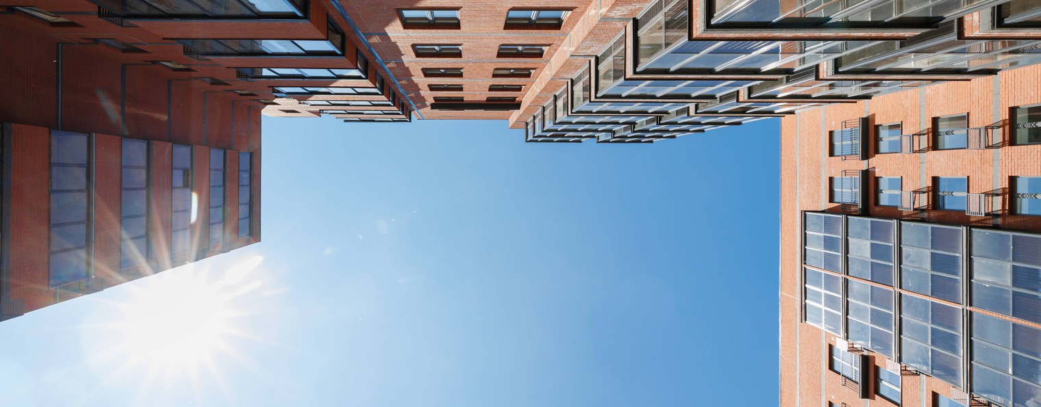 СГ Развитие